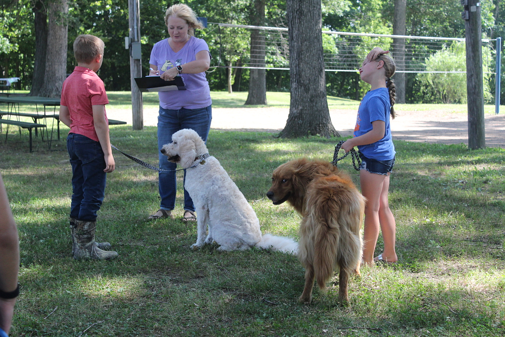 2024 Jasper County Fair Dog and Cat Show – Jasper County Daily News
