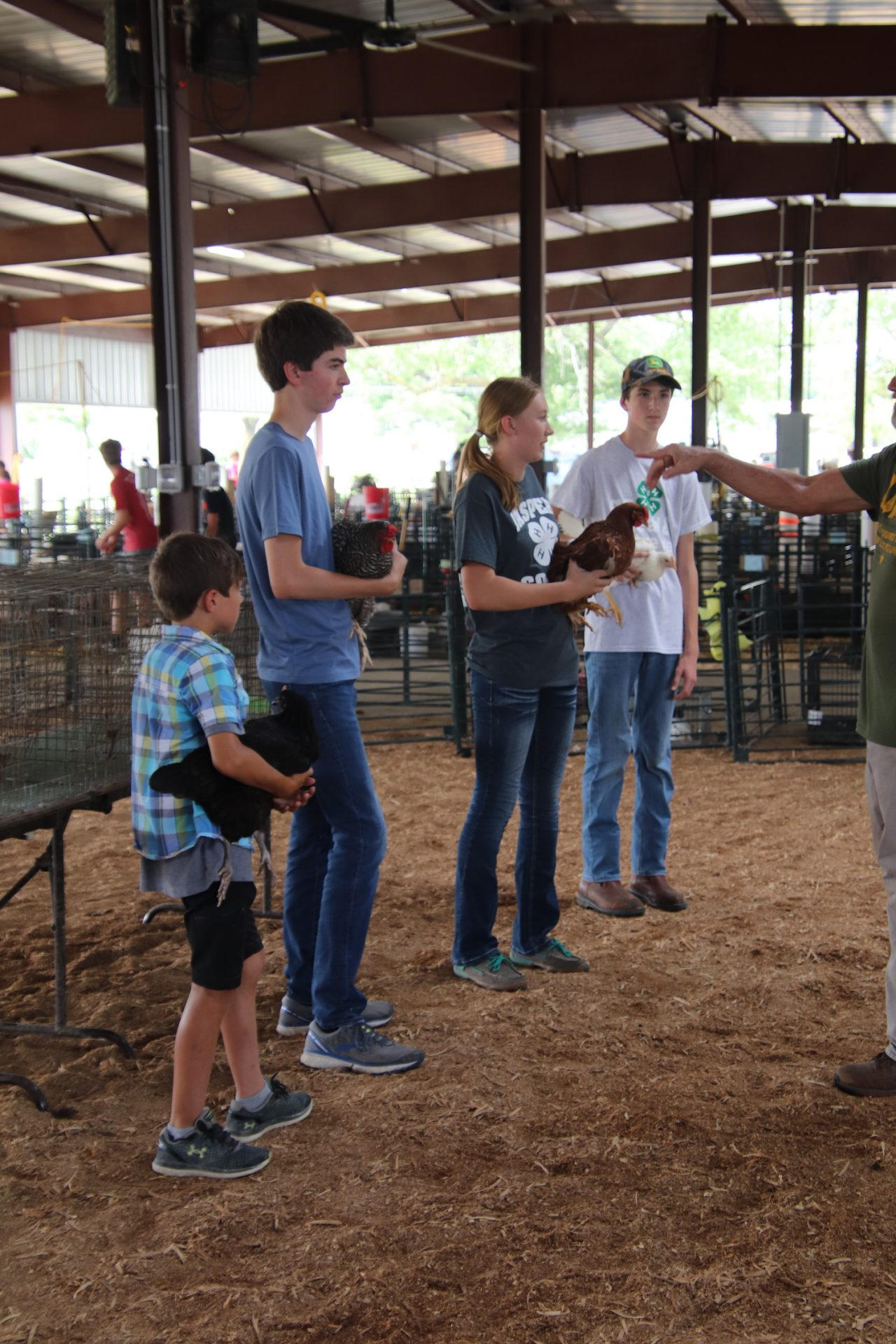 4-H Poultry Show 2021 Jasper County Fair Results and Photo Gallery ...