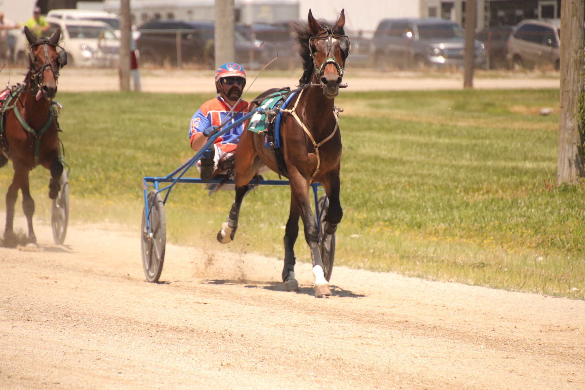 2022 Jasper County Fair: Harness Racing Remembering Steve Dooley and ...