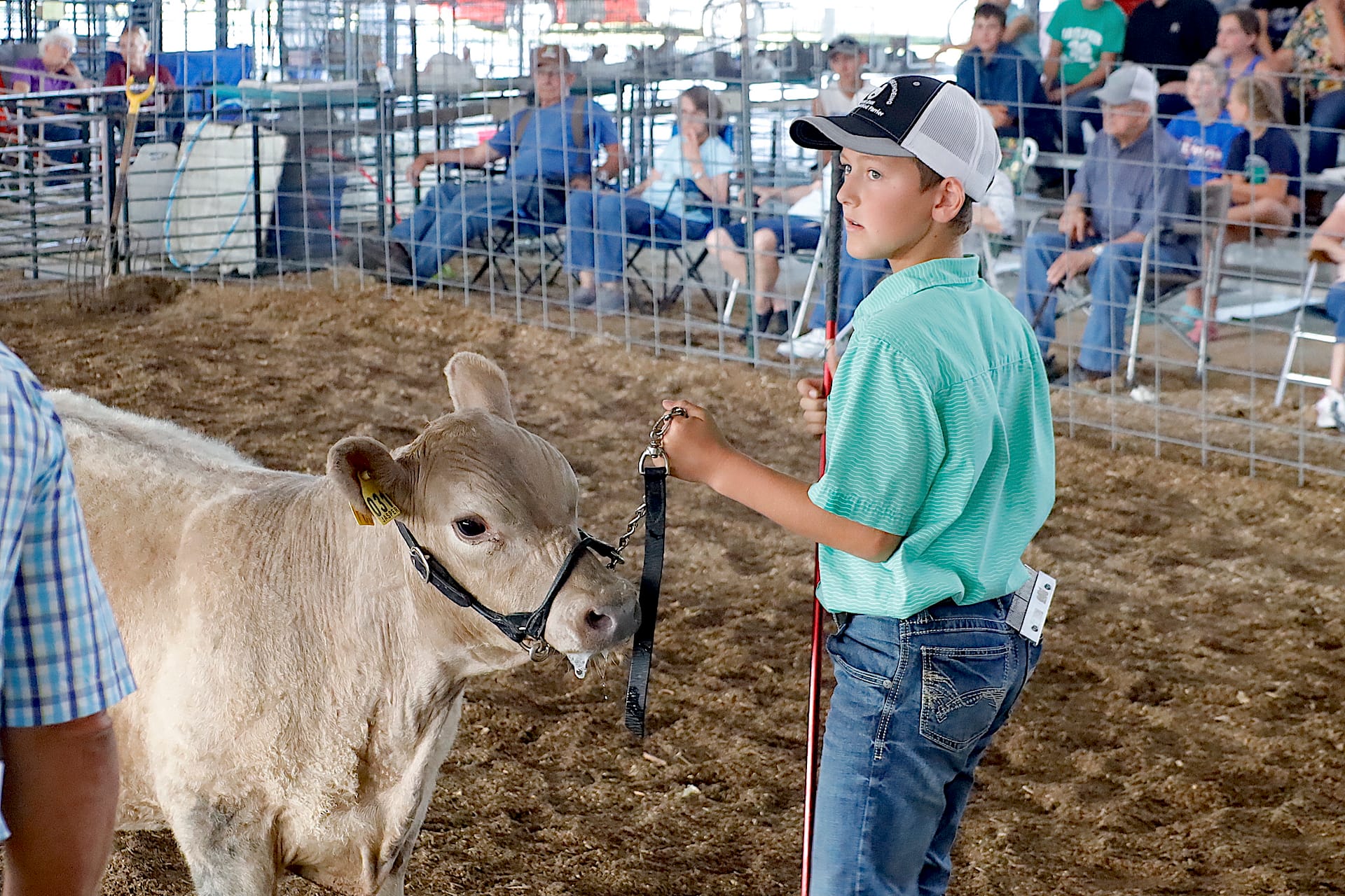 Jasper County 4-H Fair: Beef Show Results and Photo Gallery – Jasper ...